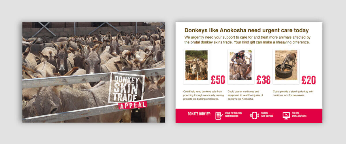 Charity direct mail appeal - Door 22 Creative